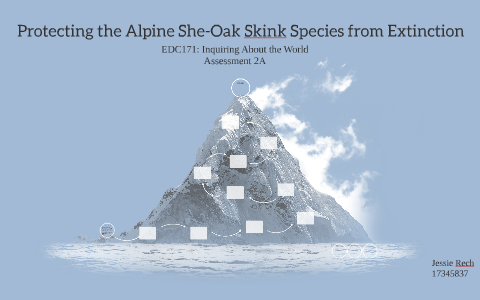 Protecting the Alpine She-Oak Skink Species from Extinction by Jessie R ...
