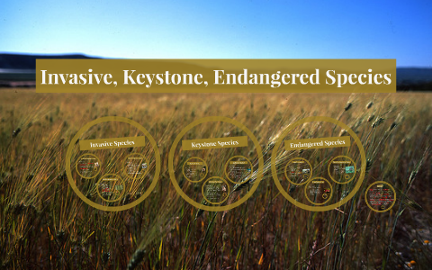 Invasive, Keystone, Endangered Species by Bailey Profitt on Prezi