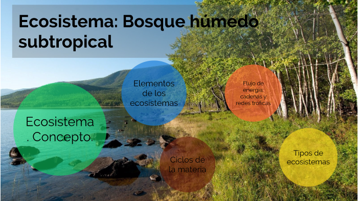 Ecosistema: Bosque húmedo subtropical by Juan Julio González Frias on Prezi