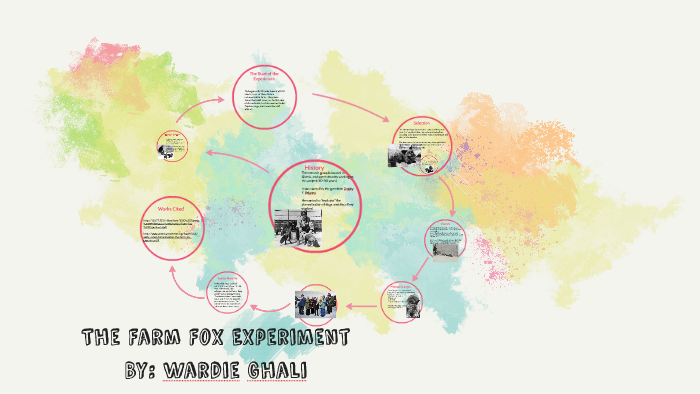 The Farm Fox Experiment by Wardie Ghali on Prezi