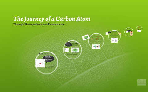The Journey of a Carbon Atom by on Prezi