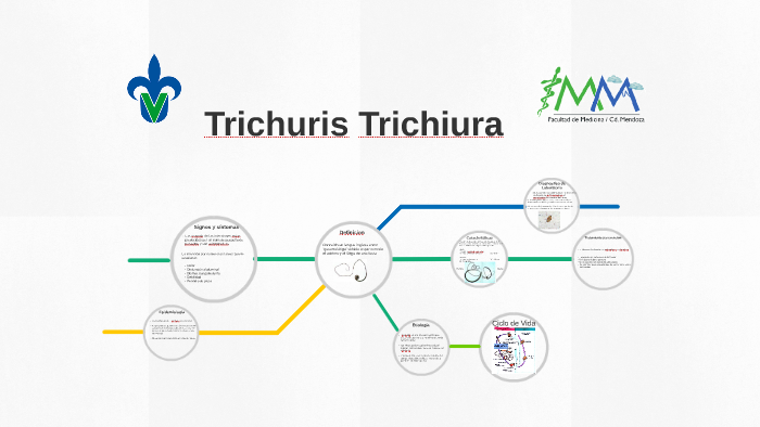 Trichuris Trichiura by Omar Garcia on Prezi