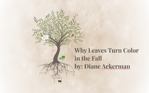 Why Leaves Turn Color in the Fall by Tinesha Mix on Prezi