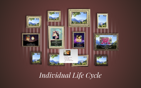 Individual Life Cycle by Kenia Molina on Prezi
