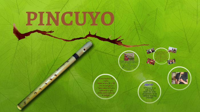 PINKULLO by florencia lacuadra on Prezi