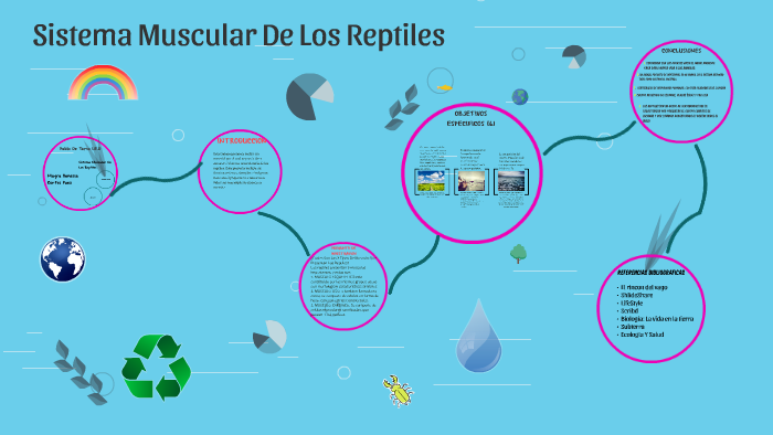 Sistema Muscular De Los Reptiles by Mäyrä Vanëssä on Prezi