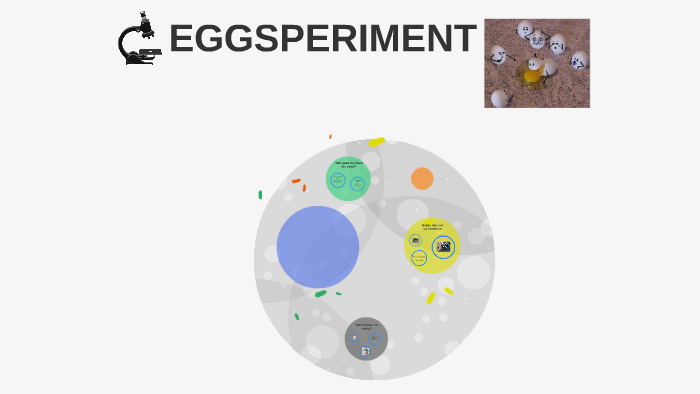 EGGSPERIMENT by Maartje Verheijen on Prezi