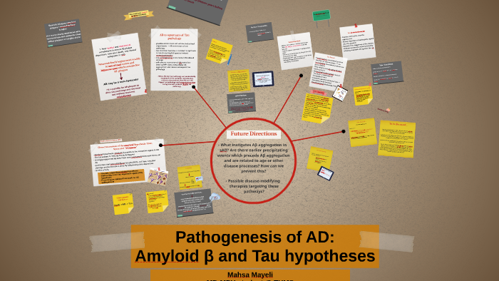 Pathogenesis of AD: by Mahsa Mayeli on Prezi