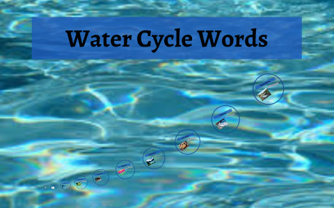 Water Cycle Vocabulary by Candace Chrzan