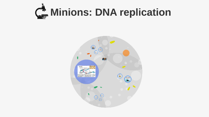Minions: DNA replication and Protein Synthesis by Connor W on Prezi