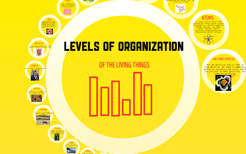 LEVELS OF ORGANIZATION OF NATURE by Mauricio Cantú Garza on Prezi