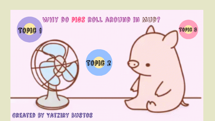 Why do pigs roll around in mud? by Yatziry Bustos on Prezi