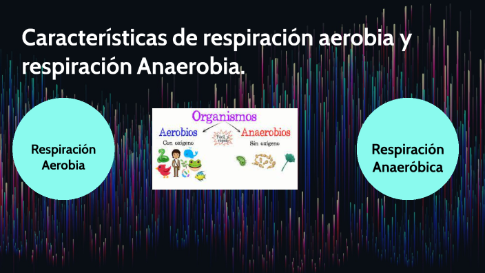 Características de respiración aerobia y respiración Anaerobia by ...