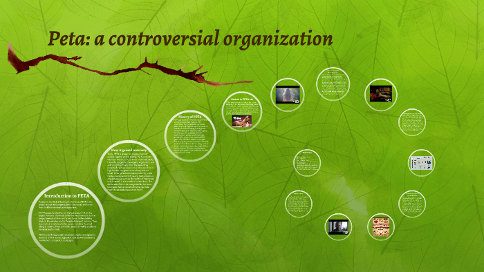 Peta: a controversial organization by Katherine Vinson on Prezi