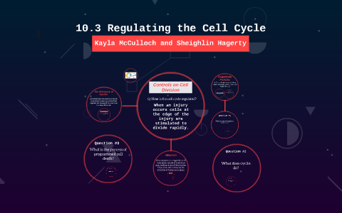 10.3 Regulating the Cell Cycle by Kayla McCulloch on Prezi