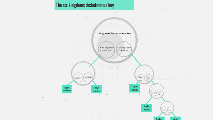 The six kingdoms dichotomous key by Marc-André Lecouffe on Prezi