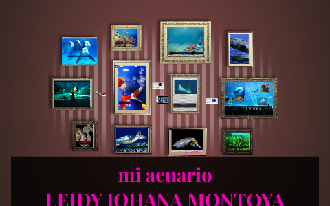 acuario by johana betancur on Prezi