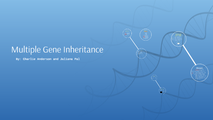 Multiple Gene Inheritance by Charlie A on Prezi