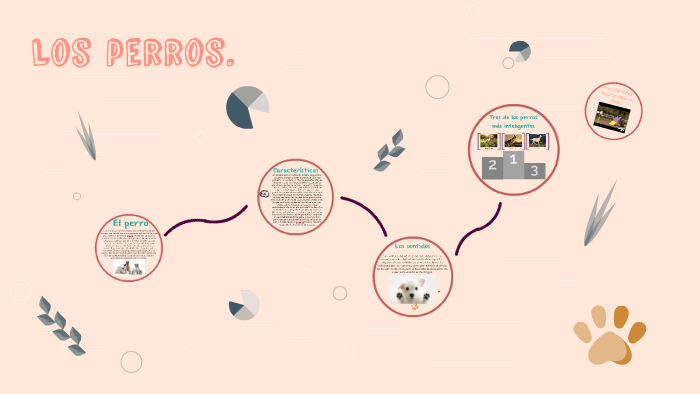 El perro es un mamífero carnívoro de la familia de los cánid by Paola ...