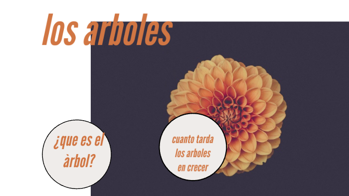 los arboles by Julio cesar Robles secundino on Prezi