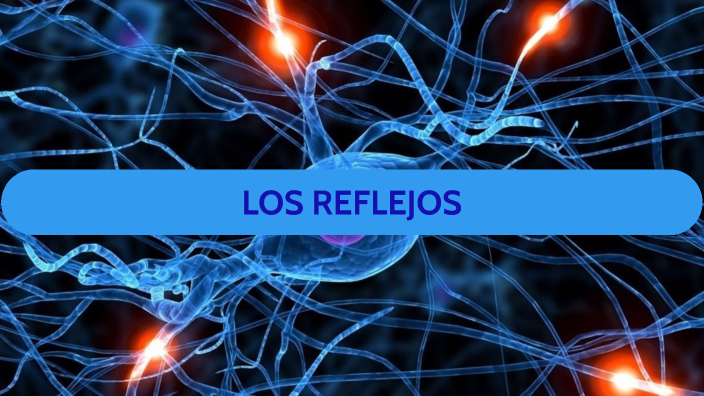 Los reflejos by Nicolás Ab. on Prezi