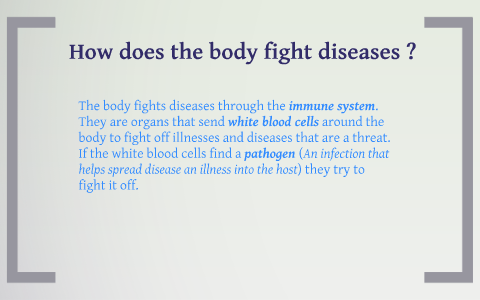 How does the body fight diseases ? by reyna lemus