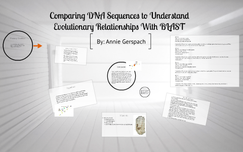 Comparing DNA Sequences to Understand Evolutionary Relations by Annie ...