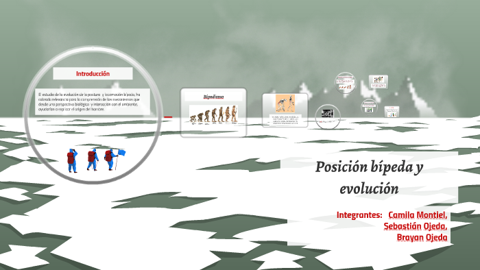 Posicion bipeda y evolucion by Camila Montiel Morales on Prezi