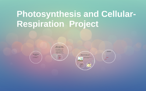 Photosynthesis- Cellular Respiration Project by Ashley Martinez on Prezi