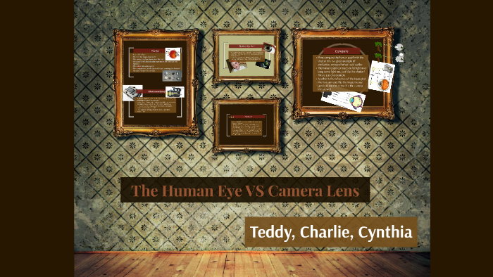 The Human Eye VS Camera by teddy paredes on Prezi