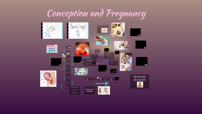Conception, Pregnancy, and Birth by kate mccarney