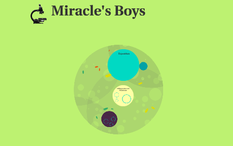 Miracle's Boys by Aishatou Tunkara on Prezi