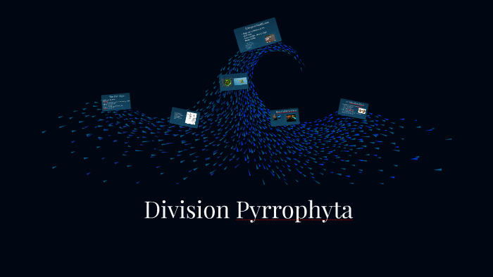 Division Pyrrophyta by Julia Hall on Prezi