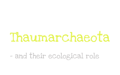 Thaumarchaeota by on Prezi