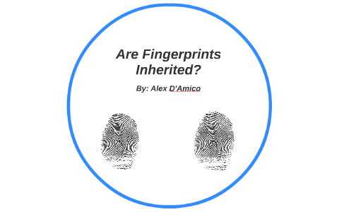Are Fingerprints Inherited? by Alex D'Amico on Prezi