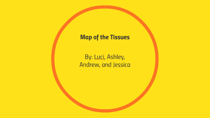 Tissue Dichotomous Key by Luci Gordon on Prezi