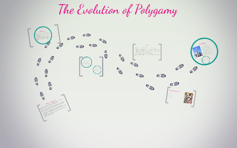The Evolution of Polygamy by Cassie Anderson on Prezi