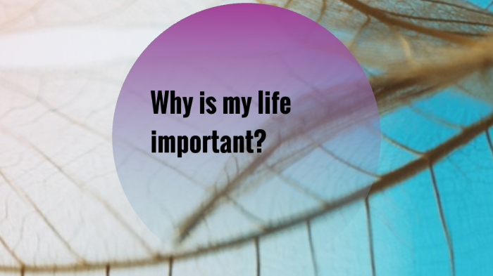 Why is my life important? by Royer Ocon on Prezi