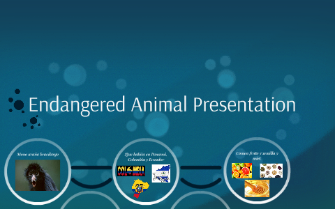 Endangered Animal Presentation by Josh Morgan on Prezi