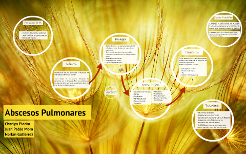 Abscesos Pulmonares by Norlan Gutiérrez M on Prezi