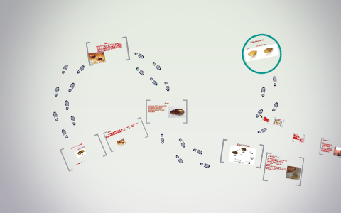 Gyvenimo ciklas: by Ieva Iš on Prezi