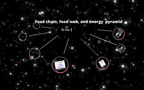 FOOD CHAIN, FOOD WEB, ENERGY PYRAMID by CLAY MATSUMOTO on Prezi