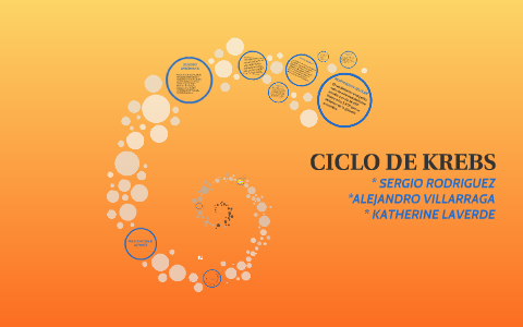 CICLO DE KREBS by Katherine Laverde on Prezi