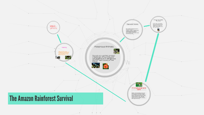 The Amazon Rainforest Survival by st30 pcjs on Prezi