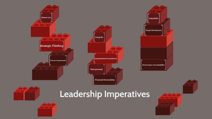 Leadership Imperatives by Liz B on Prezi