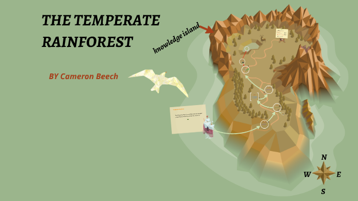 THE TEMPRATE RAINFOREST by cameron beech on Prezi