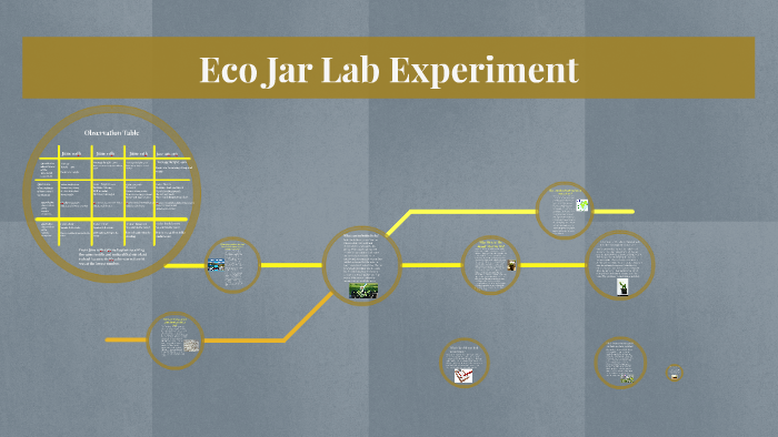 Eco Jar Lab Experiment by Minder Natt on Prezi