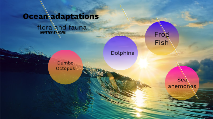 ocean adaptations by Sofia Linares on Prezi
