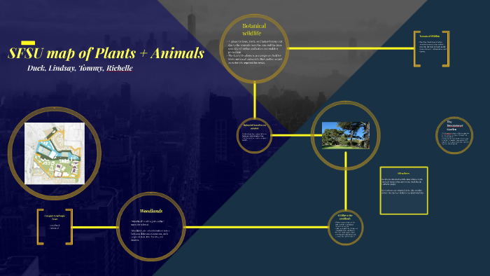 SFSU map of Plant by Lindsay Huber on Prezi