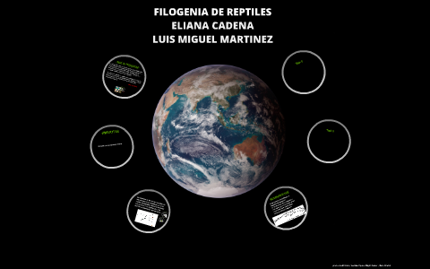 FILOGENIA DE REPTILES by Eliana Cadena on Prezi